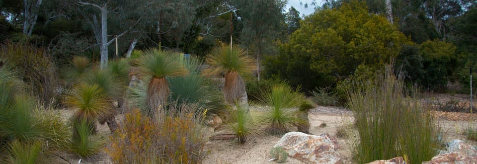 Bankstown City Gardens | Rydges Bankstown